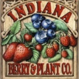 (SOLD OUT 2026 SEASON) Jonkeer Van Tets - Red Currant
