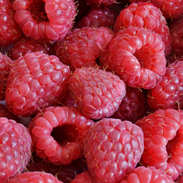Nova Red Raspberry - Summer (SOLD OUT 2025 SEASON)