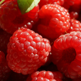 raspberry coloured pictures