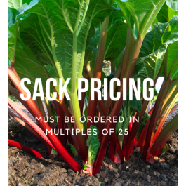 Crimson Red Rhubarb - LARGE QTY