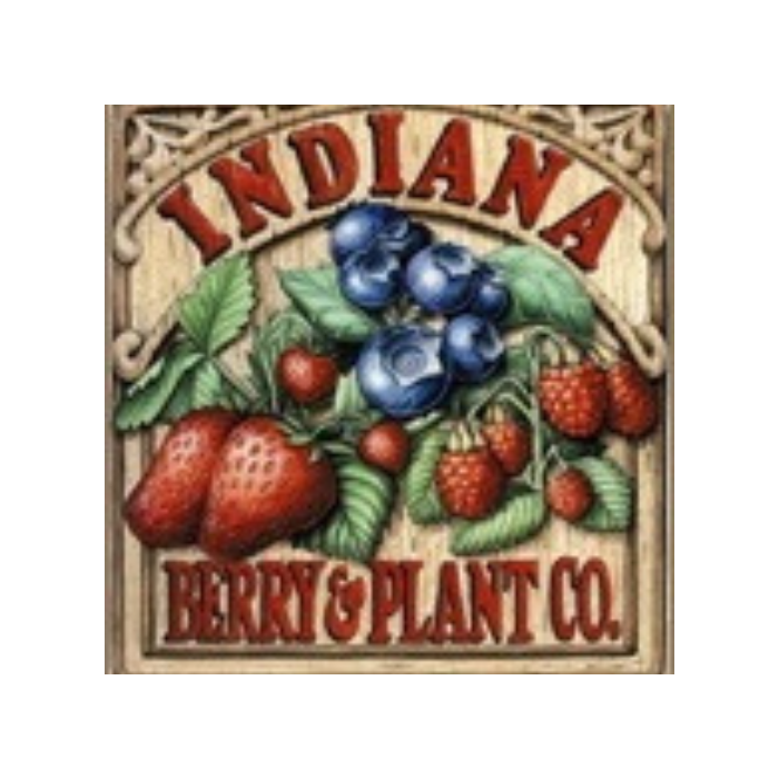 raspberry brandywine